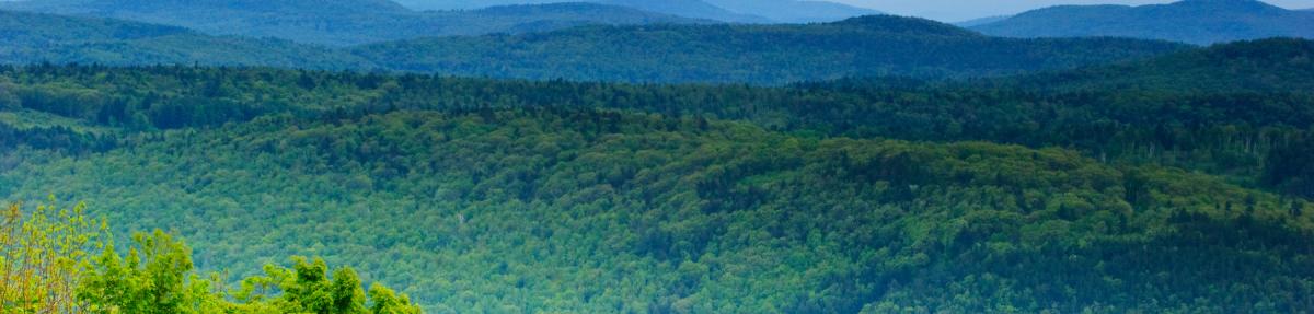 Killington Summer Camps | Killington Rental Associates